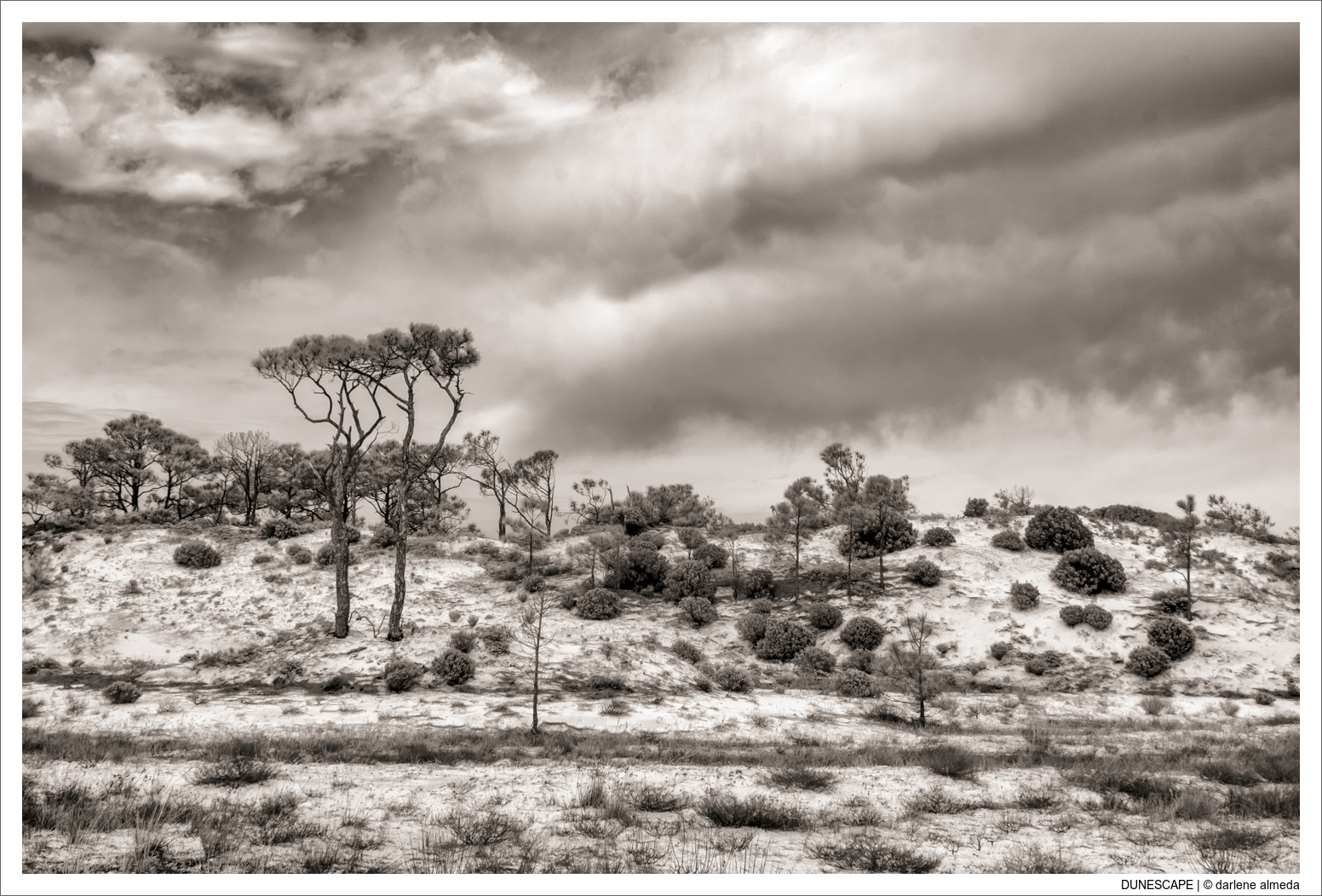 DUNESCAPE | photoscapes